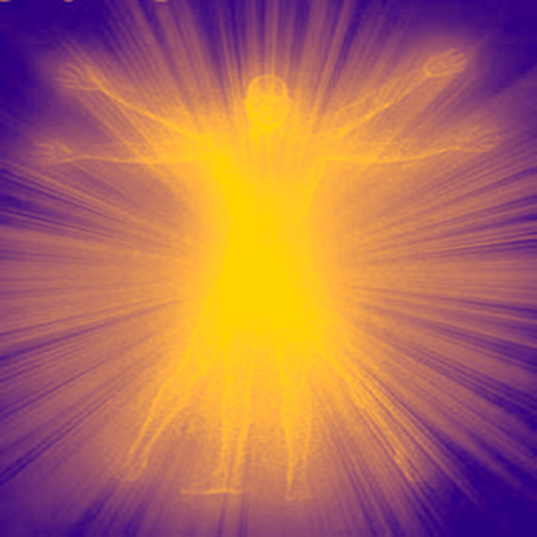 Golden Avatar Light Body – Jai's Angel Light